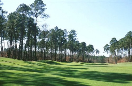 EDGA Upcoming Events