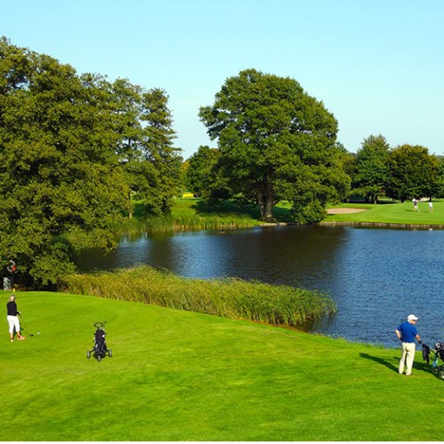 EDGA Upcoming Events