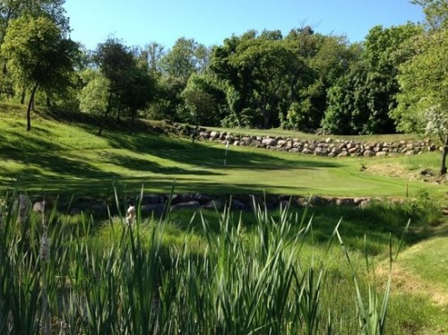 EDGA Upcoming Events